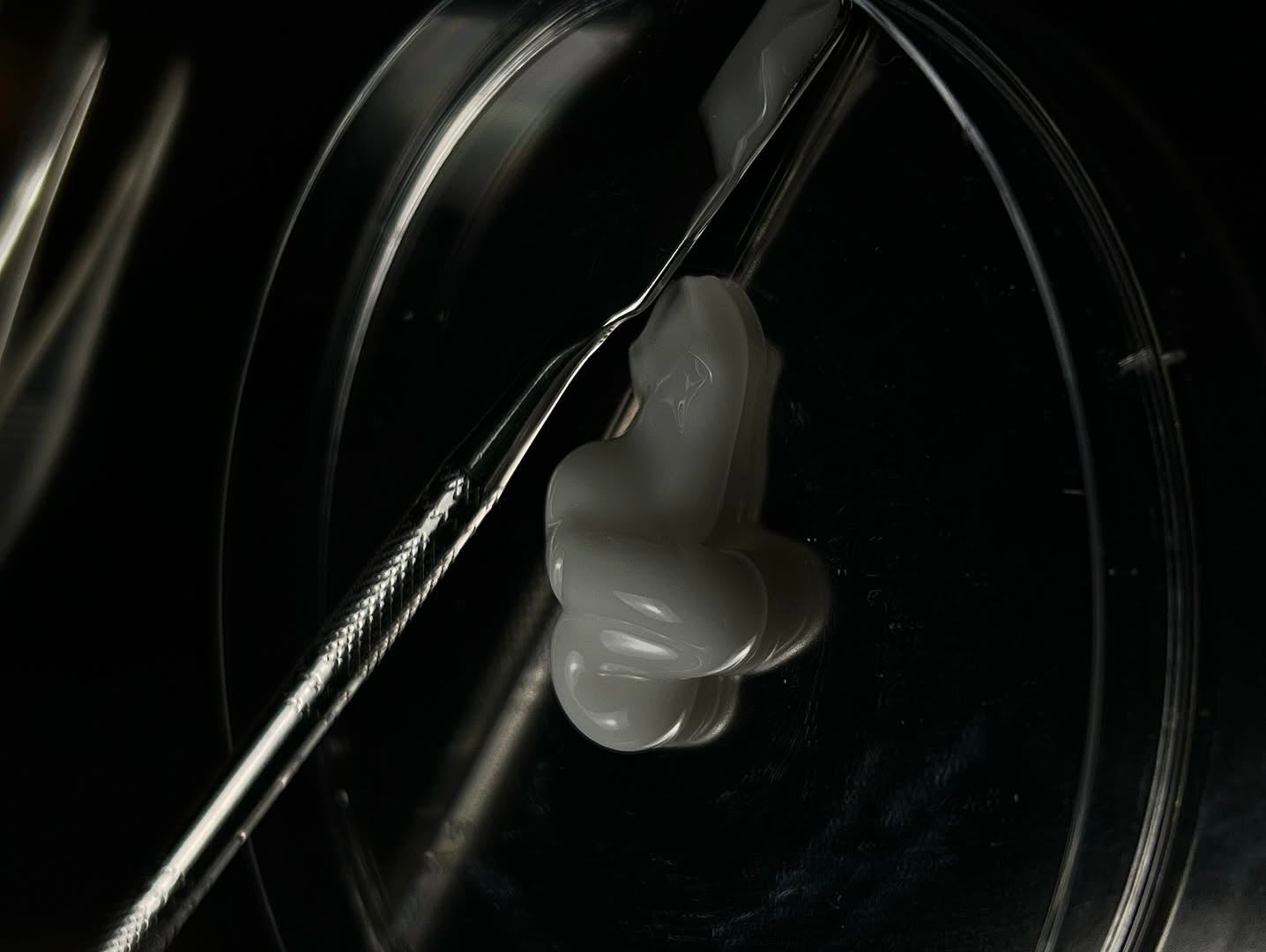 From the Lab to Your Skin: How Clinical Formulas Are Created – Zensa ...